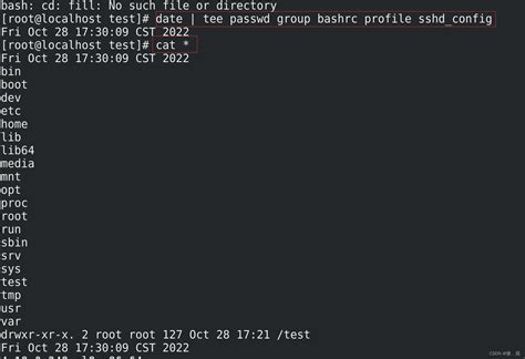 Redhat Linux 基础（3第四章练习redhat 74实验练习 Csdn博客