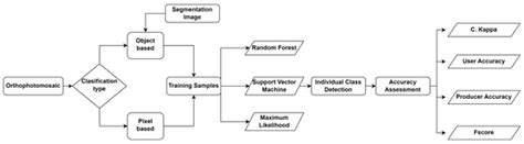 Individual Tree Detection Itd And Its Applications