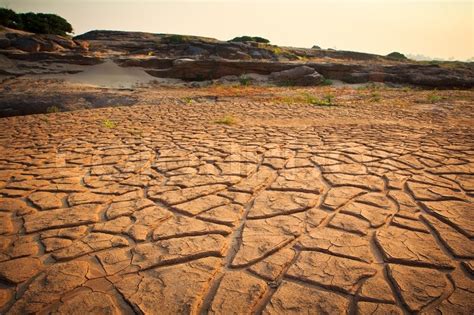Ground - definition and meaning with pictures | Picture Dictionary & Books