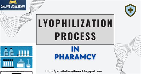 What Is Lyophilization Process A Comprehensive Step By Step Guide