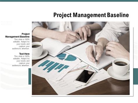 Project Management Baseline Ppt Powerpoint Presentation Portfolio