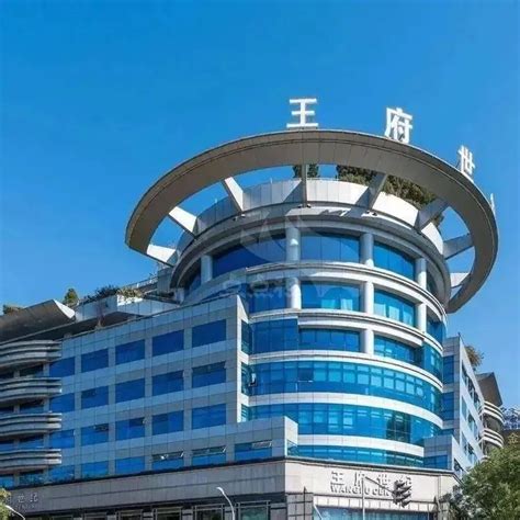 112亿王府大厦，“晴格格”王艳这套故宫旁的豪宅保住了拍卖王志才王艳新浪新闻