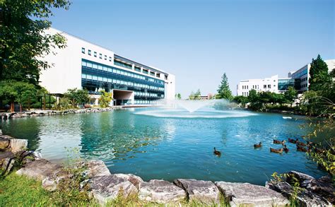 해람인解纜人의 참뜰 표지석 준공 모교소식 강릉원주대학교 총동창회