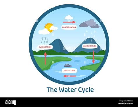Evaporation Water Cycle