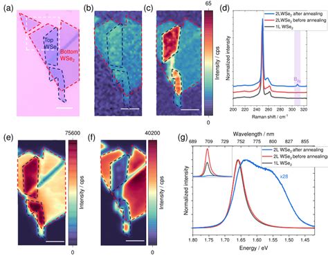 Raman And Pl Measurements Of Monolayer And Bilayer Wse2 A Optical Download Scientific