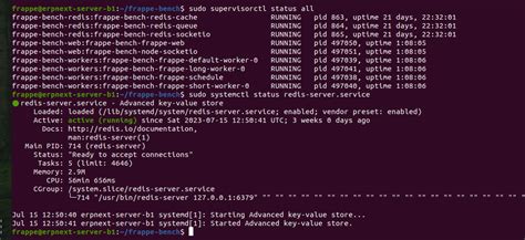 Internal Server Error Erpnext Frappe Forum