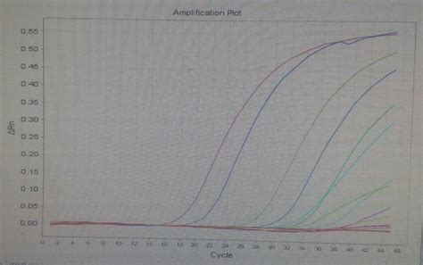 Real Time Pcr Amplification Plot Of Randomly Selected Influenza Download Scientific Diagram
