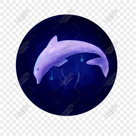 더블 11 개의 꿈결 같은 푸른 보라색 돌고래 Png 일러스트 무료 다운로드 Lovepik