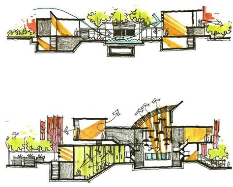 Section Tree Diagram Tree Art