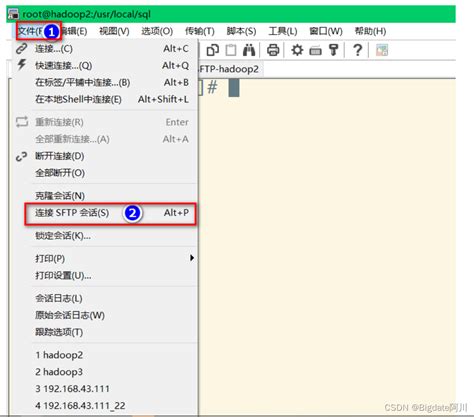 虚拟机连接工具securecrt使用教程 xshell替代工具 crt虚拟机连接 csdn博客