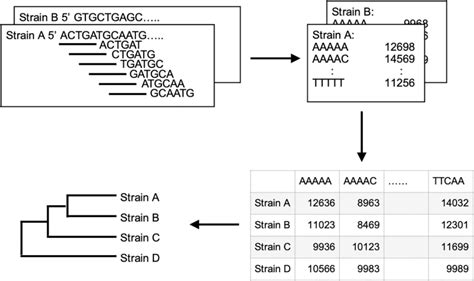 16s Rrna基因序列 谷禾健康