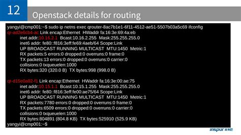 Ovs Dpdk Pitfalls In Openstack And Kubernetes