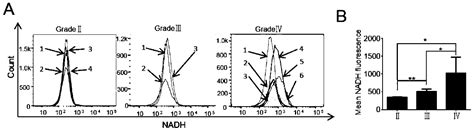 Sorting Method For Glioma Stem Cells Eureka Patsnap