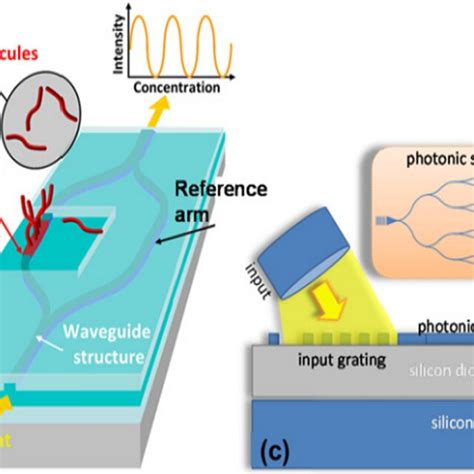 A The Evanescent Tail Of The Light Propagating In The Si3n4 Waveguide