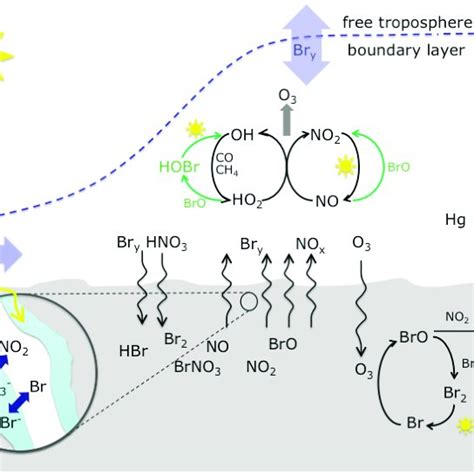 Sketch Of The Local Processes Influencing Chemistry Of Nox Hox And