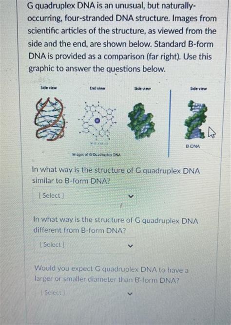 Solved G Quadruplex Dna Is An Unusual But