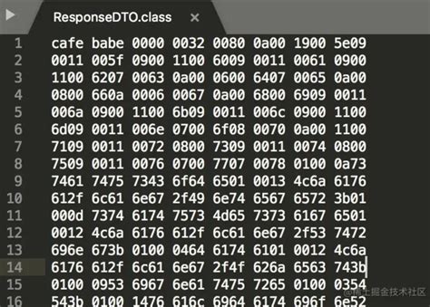 彻底让你搞懂什么是java字节码 阿里云开发者社区