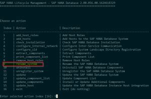 SAP HANA Rename System Part SAP Basis World