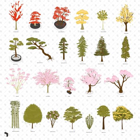 Axonometric Colorful And Black And White South East Trees Toffu Toffu Co Axonometric Colorful And Black And White South East Trees Toffu Toffu Co