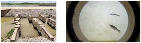 The Map05 Value Curve Of Different Detection Algorithms After