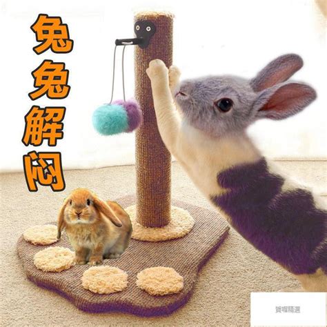 柚見家 臺灣出貨 兔子解悶玩具耐咬安撫兔子用品全套寵物兔磨爪玩具 兔子玩具 兔子解悶玩具兔兔 關註禮 蝦皮購物