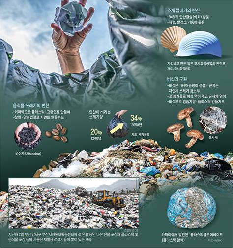 T 굴 껍데기로 석회 커피 찌꺼기로 플라스틱 만들어요