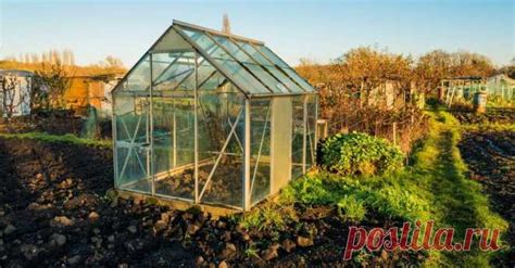 Чем обработать теплицу весной от вредителей и болезней — сад и огород дизайн и интерьер Постила