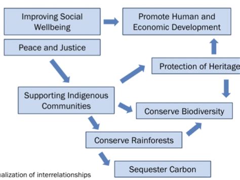 Sustainability In The Amazon Flashcards Quizlet