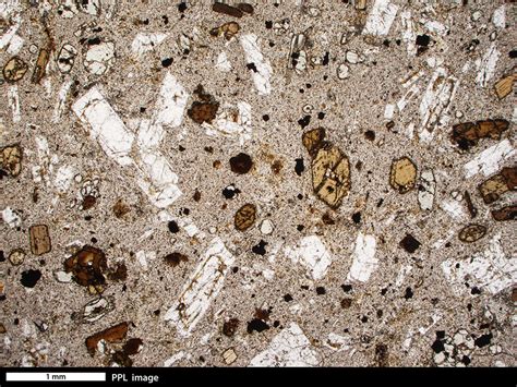 Eds Igneous Eds Igneous