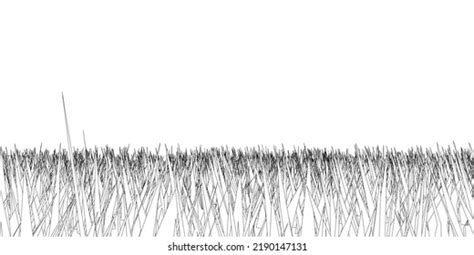 Black Lines Grass Contour Isolated On Stock Vector Royalty Free 2190147131 Shutterstock