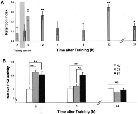 Protein Kinase Pka In Memory Consolidation A Time Course Of The