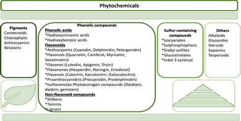Classification Of Phytochemicals Adapted From Reference [14] Download Scientific Diagram
