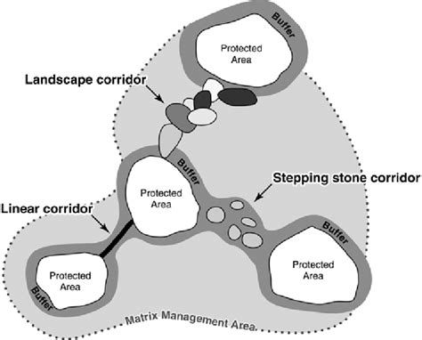 Some Of The Conceptual Elements That Comprise Connectivity Conservation
