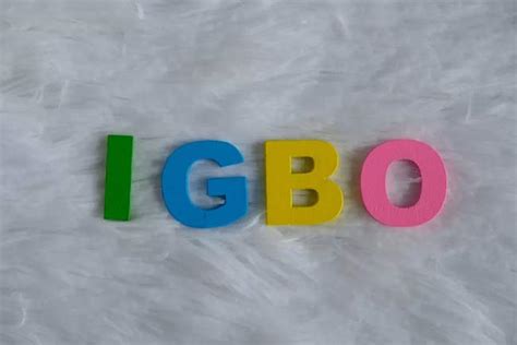 Choose Igbo Translator Services You Can Trust
