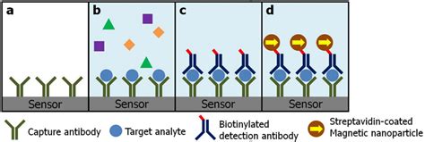 New Biochip Could Quickly Triage People After Radiation Exposure Kurzweil