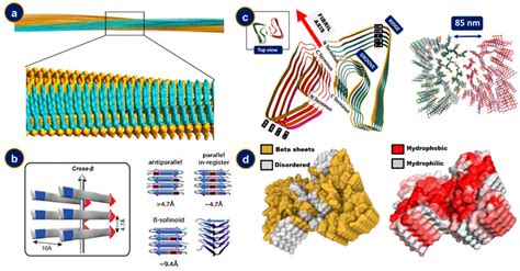 The Structural Features Of Amyloid Fibrils A 3d Map Of Attr Amyloid Download Scientific