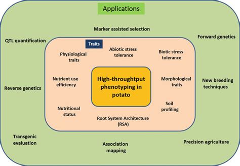 4 Applications Of High Throughput Phenotyping In Potato Breeding