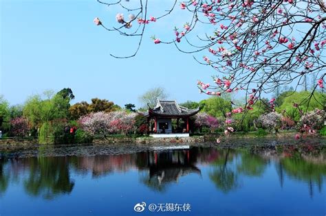 无锡蠡园三面环水春天的时候桃花盛开拂堤春晓景色迷人