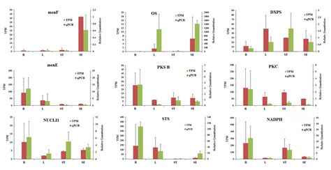 Qrt Pcr Verification Compared With The Expression Profiles Of Degs