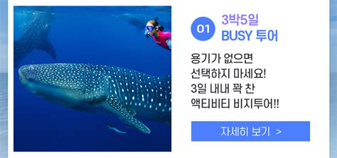 [단독투어] 세부 3박5일 Busy 투어