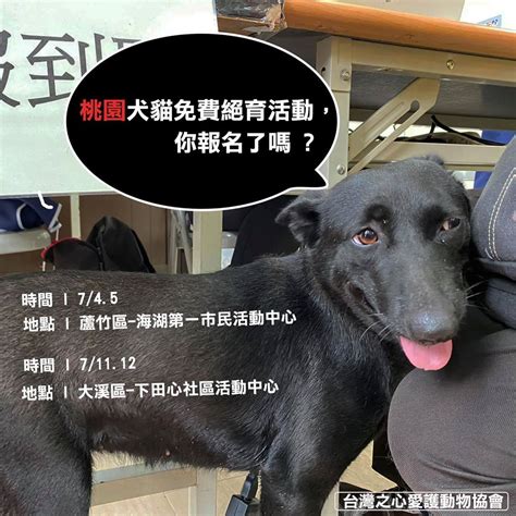【桃園市犬貓絕育活動報名中‼️ 】 桃園 絕育 歡迎協助分享 台灣之心愛護動物協會 Hotac