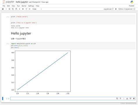 Python使用jupyter记笔记jupyter写代码时怎么做笔记 Csdn博客
