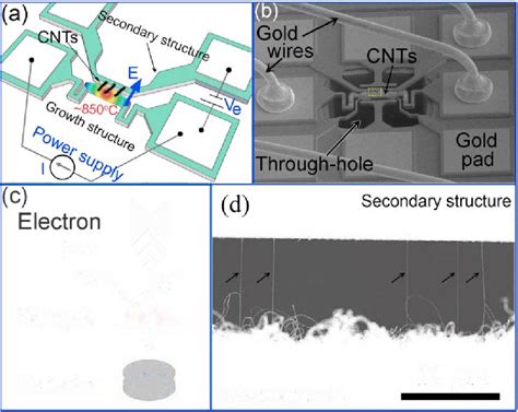 A Illustration Of The Local Synthesis And Direct Integration OfCNTs