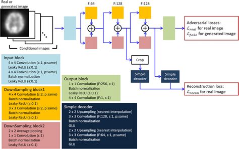 Discriminator In Our Model The Discriminator Uses As Input The Real Or