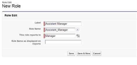 Creating The Role Hierarchy In Salesforce Role Hierarchy Salesforce