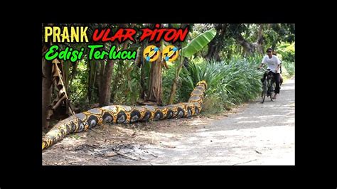 Funny Video Of Python Pranks That Will Make You Laugh Really Makes You