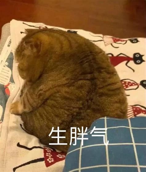 SCI期刊录用后需要多久时间见刊检索SCI录用检索见刊的时间是 论文 周期 效率