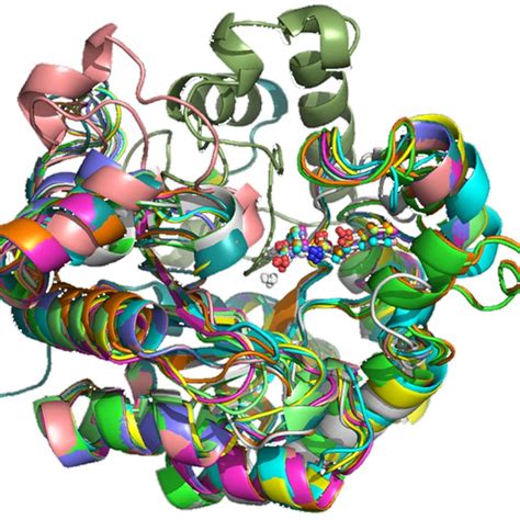 Qué Son Las Proteínas De Diseño El Santo Grial De La Ciencia Actual Infobae