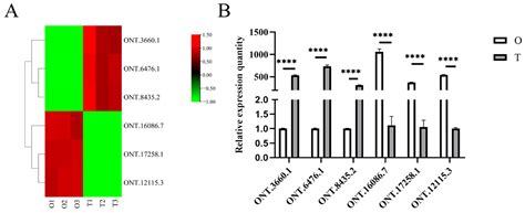 identification of genes and long non coding rnas putatively related to