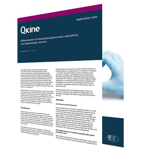 Differentiation Of Induced Pluripotent Stem Cells Ipscs Into Dopaminergic Neurons Qkine